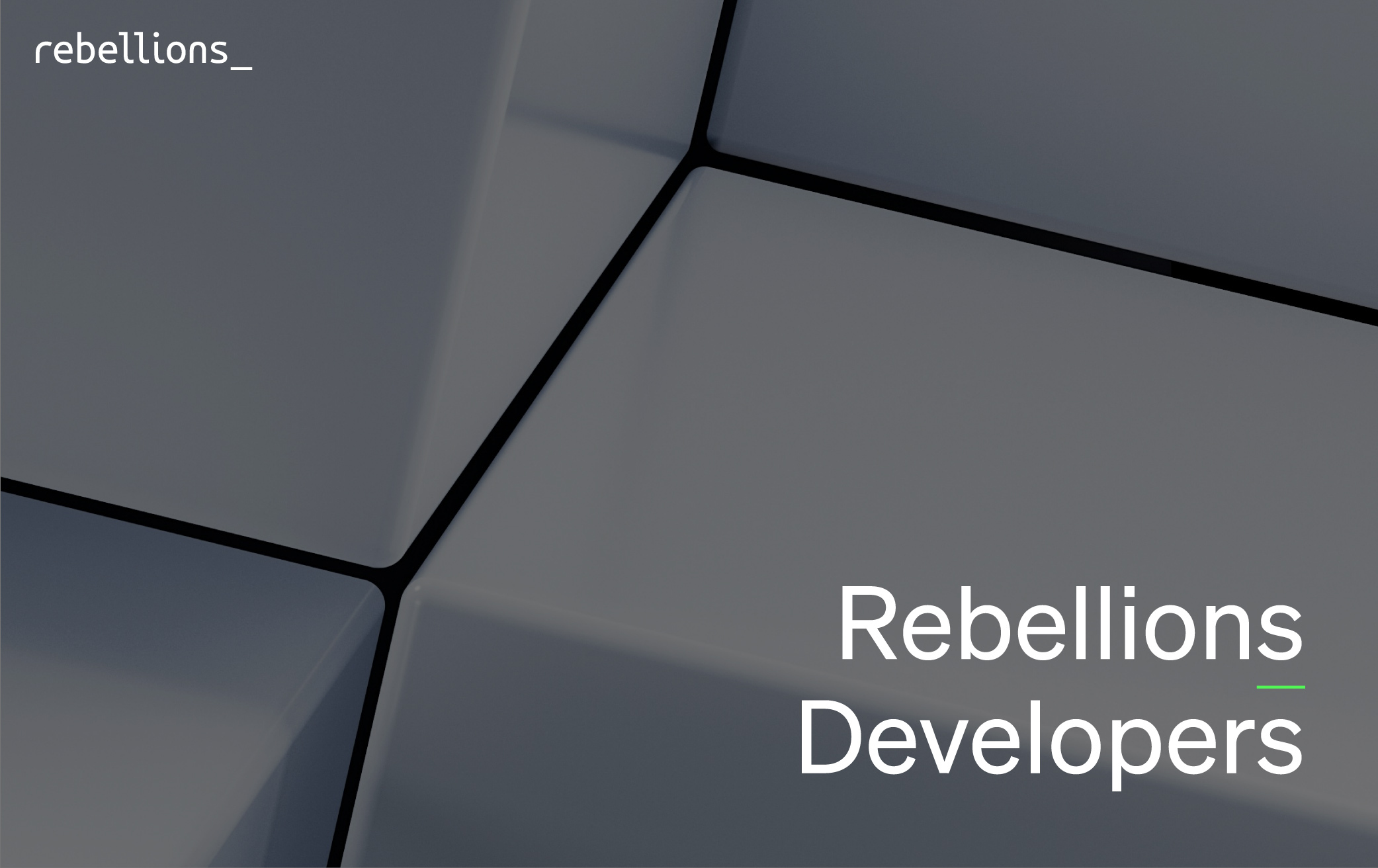 Developers - Rebellions